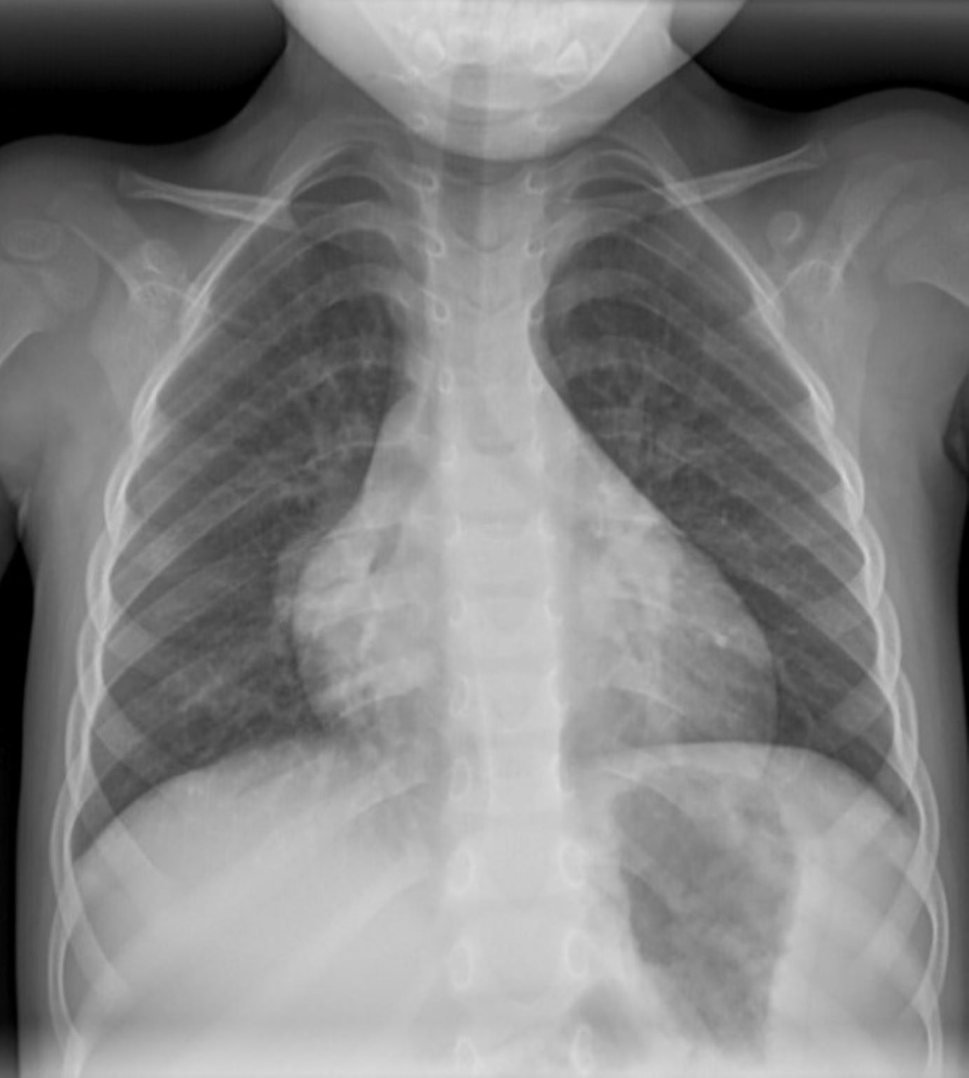 - The Union | The Union